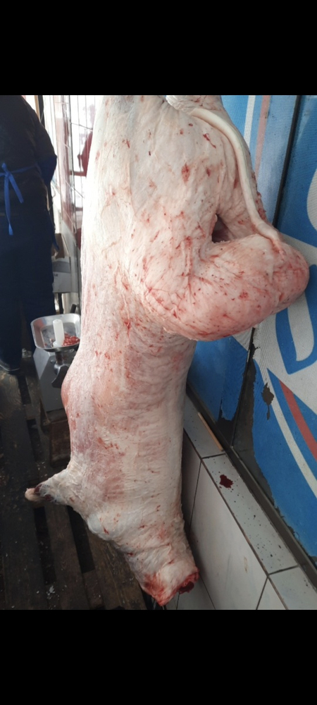 Qassob xizmati qurbonlik uchun