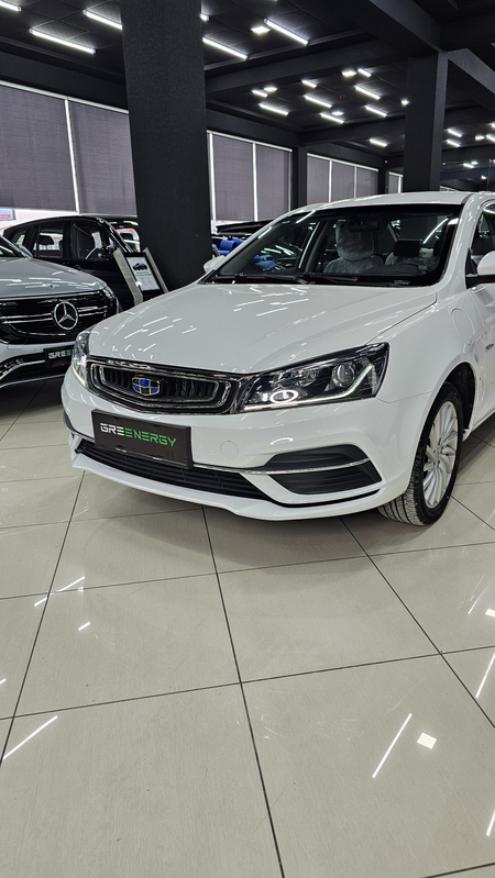 GEELY geometry ev500