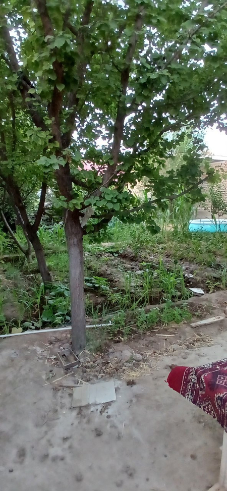 Майкалхоз 1 кошеде роддомга жакын 2 кабат уй сатылады