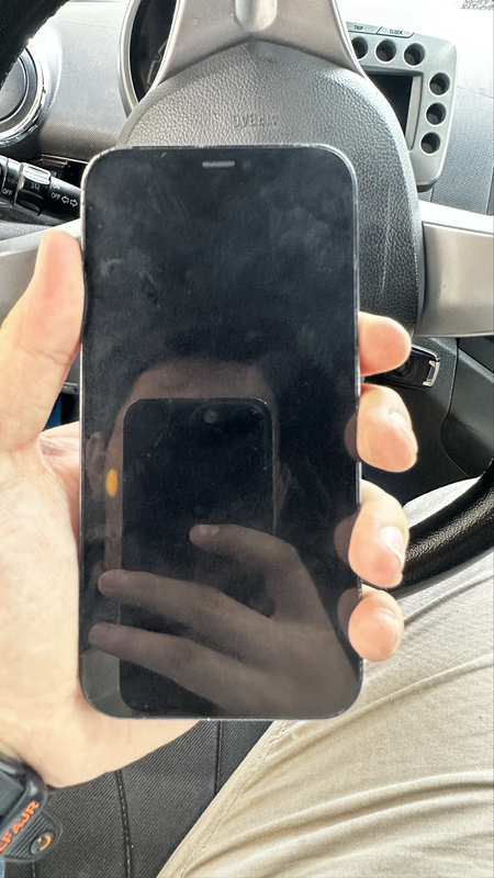 Iphone 12 pro 256 gb srochno