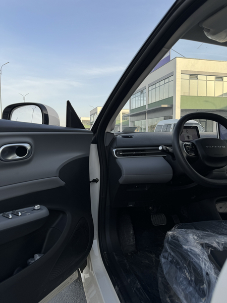 Dongfeng Nammi01 2024