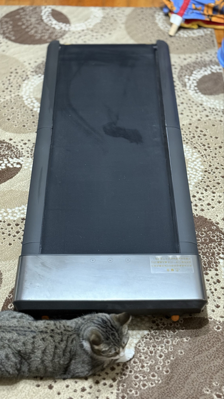 Беговая дорожка Xiaomi WalkingPad A1