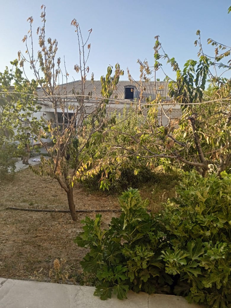Uy sotiladi Samarqand Jomboy