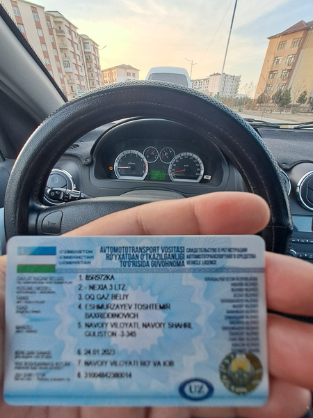 Neksiya-3 oq rang