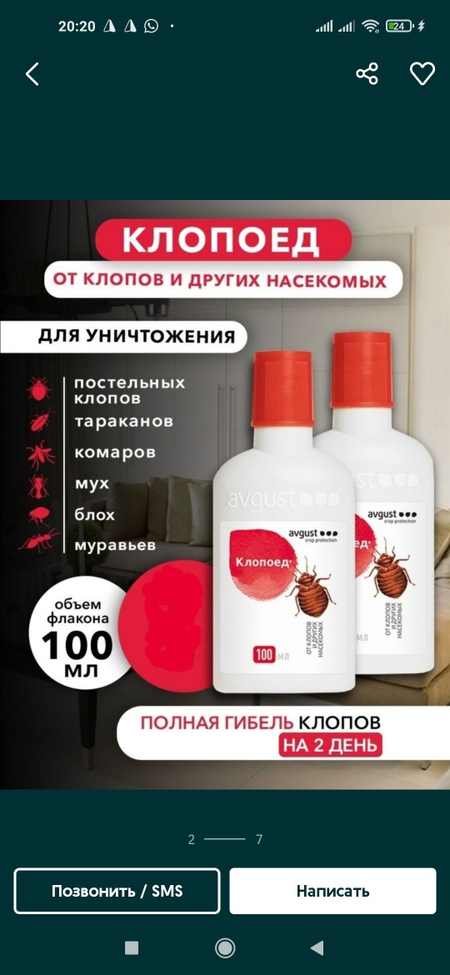 Klopa dori,  клопа дори