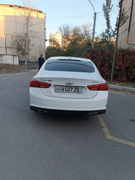 Malibu 2 oq 2018