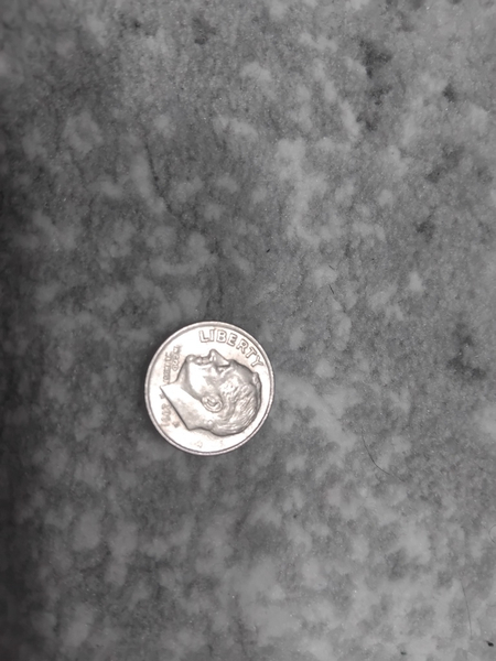 Amerikaning ONE DIME