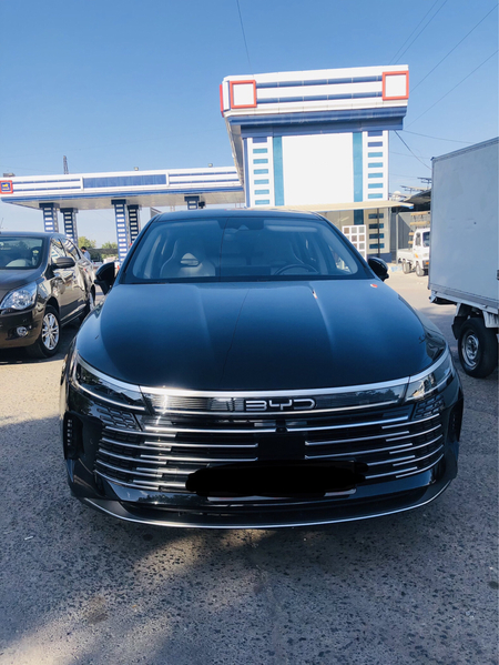 Byd chazor 2023 tozza