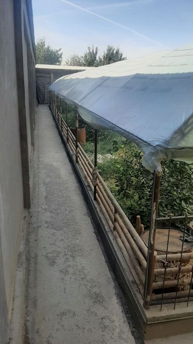 Парник сотилади 4.5 сотих