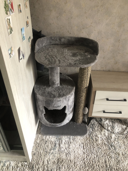 Продается домик для кота