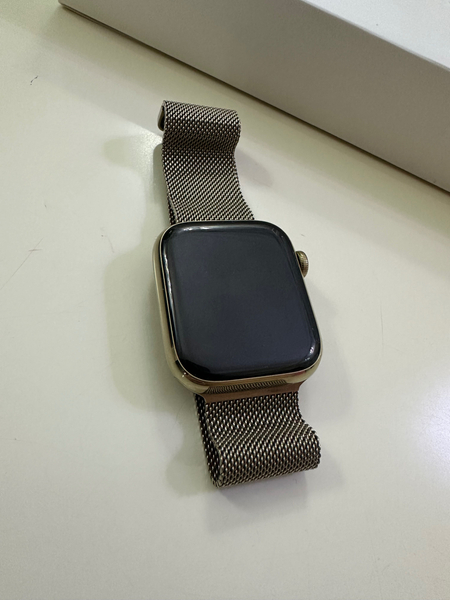 Apple Watch Series 7 Gold Stainless Steel Case