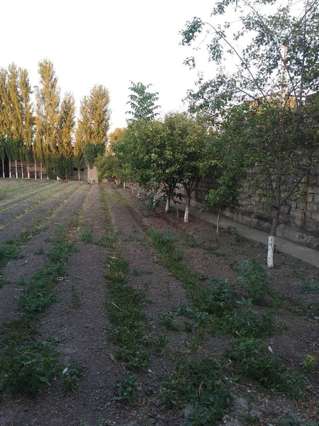 СРОЧНО! Продается дом ул. Карл Маркс в Урта Чирчик 14,5 сотых дом!