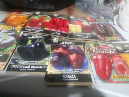 Семена продаю рассия