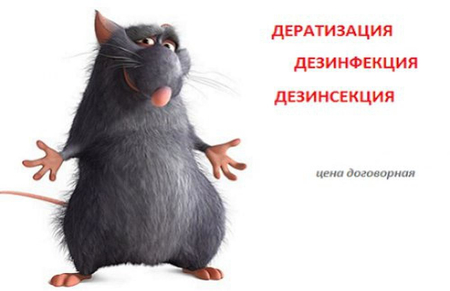 Уничтожение насекомых 100% гарантия на все услуг. Ф/о любая.