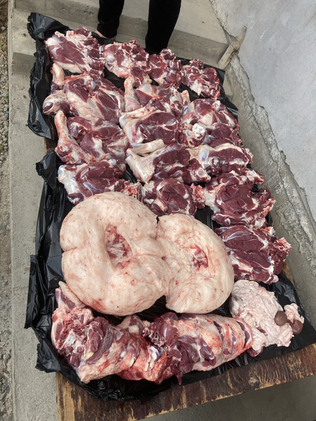 Qoy qoylar sotiladi