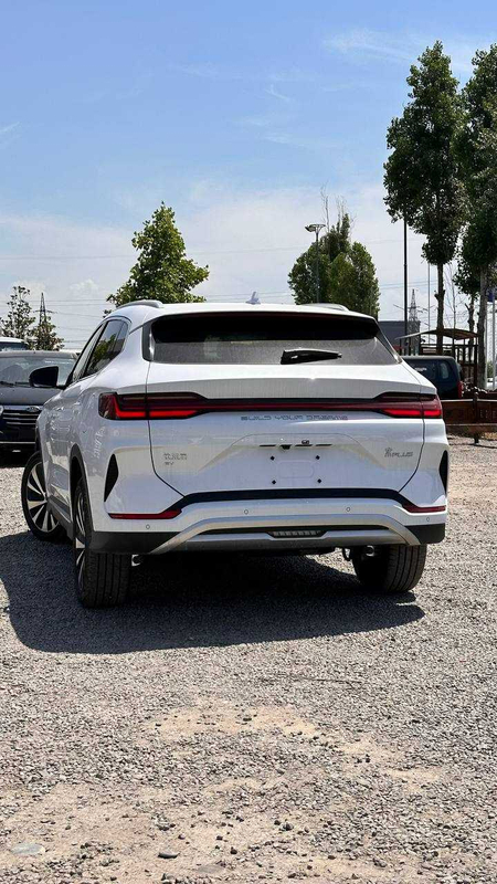 BYD CHEMPIYON sotuvda tayor