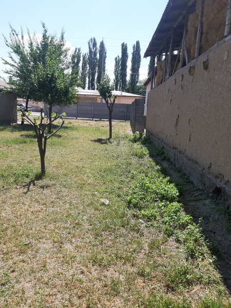 Xovli uy 8 sotix