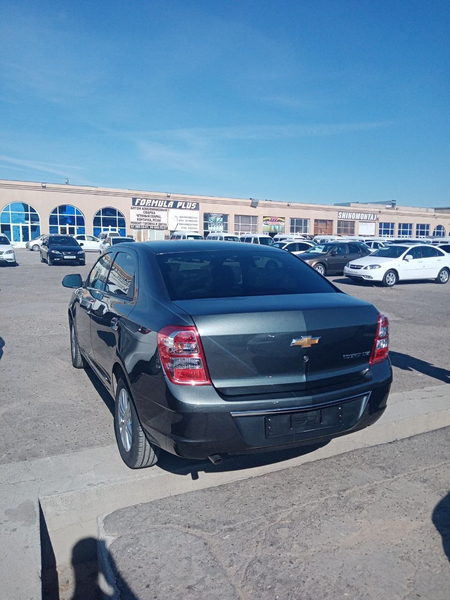 2024 pachka cobalt yurgani 750 km