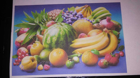 Epson SX 130 Printer Skaner Kopiya ranglik 4ta rang