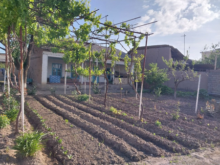 Sergeli Xonobod Yer sotiladi narxi 22000 dan