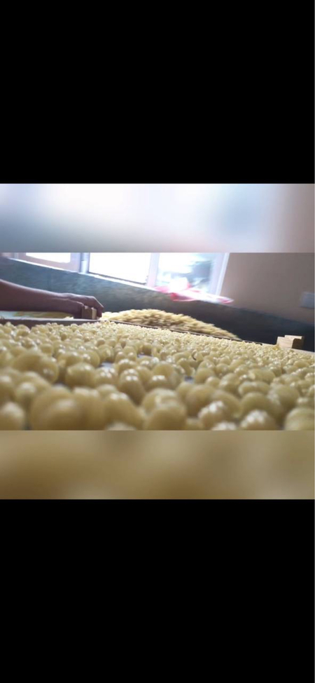 Makaron aparati zudlik bilan sotiladi