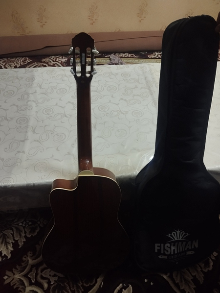 Gitara yangi kafolati bilan