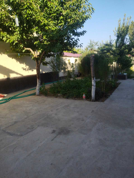 Yangi katej sotiladi.