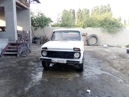 Yoʻl tallamas niva