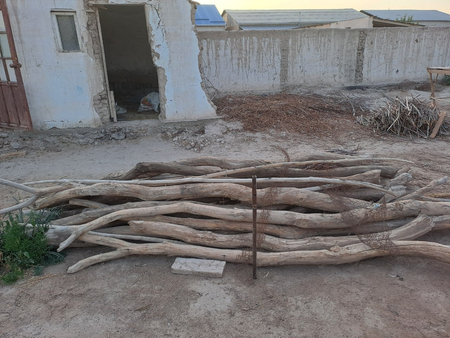 Torangil satiladi