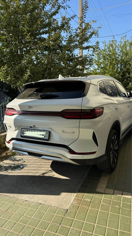 Byd song plus champion