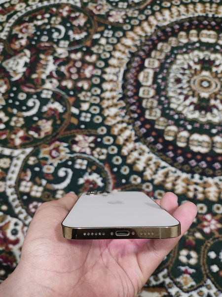 Iphone 12 pro max