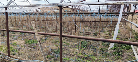 Продается теплица парник 5.5 соток карказы из Российских материалов
