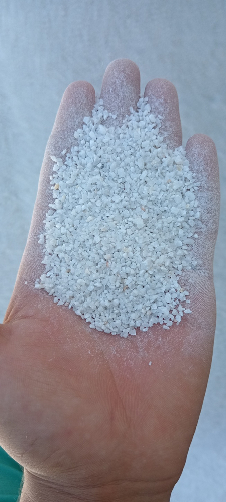 Kuroshka sichka pil