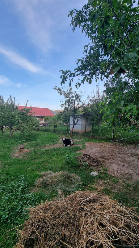 Земля Юбилейный Юсуп хона