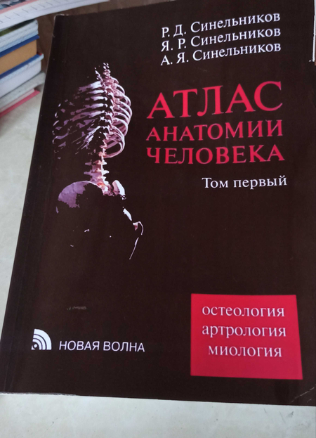 Продаётся АТЛАС Анатомии человека Синельников Новая волна