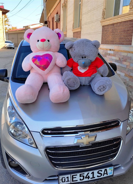 Teddy va boshqa yumshoq oʻyinchoqlar