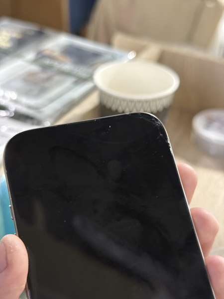 Iphone 15 Pro 128Gb 100%