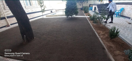Gazon ekamiz tayori va urug'idan garantiyasi bilan