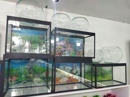 Akvarium va baliqlar dõkoni Sergili tumanida