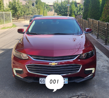 Malibu 2,  2,4 ideal