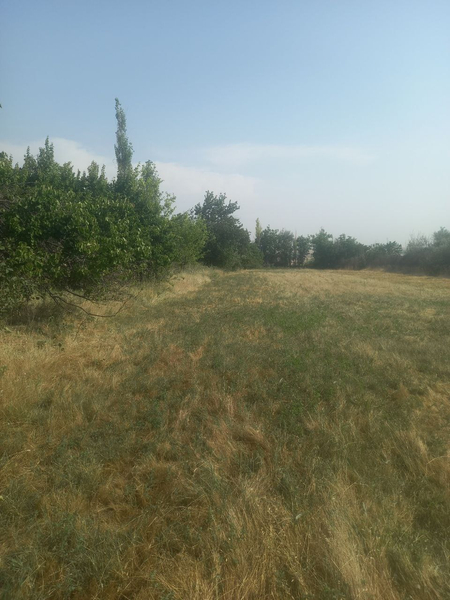 Курук ер сотилади уйи билан