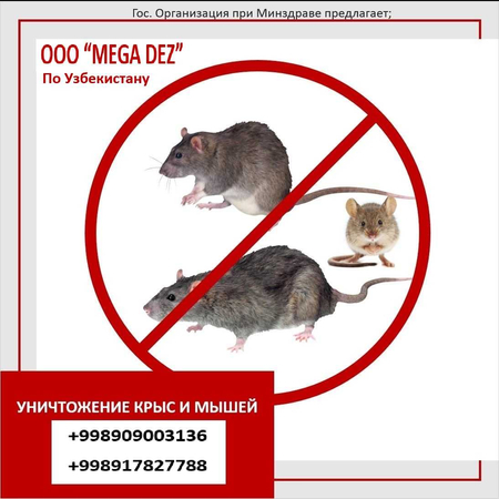 OOO “MEGA DEZ” быстро избавит Вас от всех грызунов и насекомых!!!