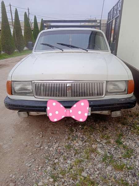 Газ 31029 пикап ок