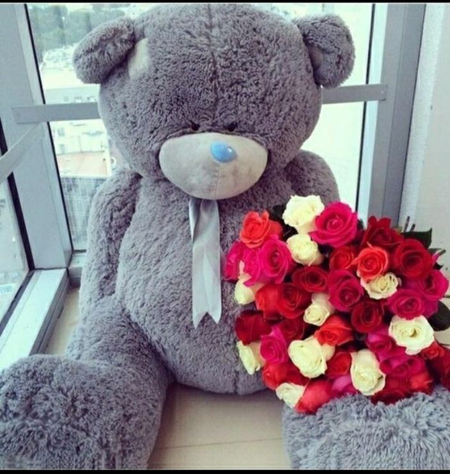 Teddy teddy teddiy