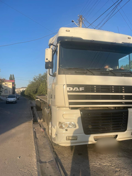DAF95 XF380 kanteyner prsep