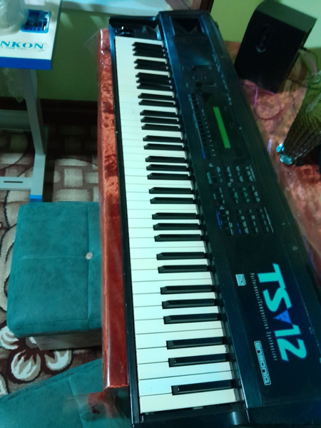 Синтезатор  ENSONIQ TS 22