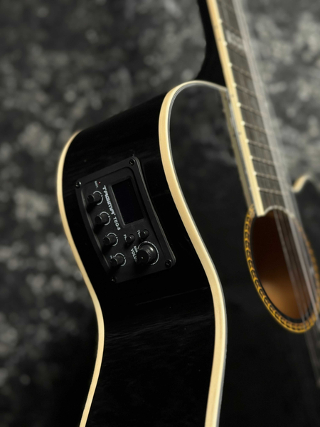 (MUSIC BRAND) Tagima Gitara