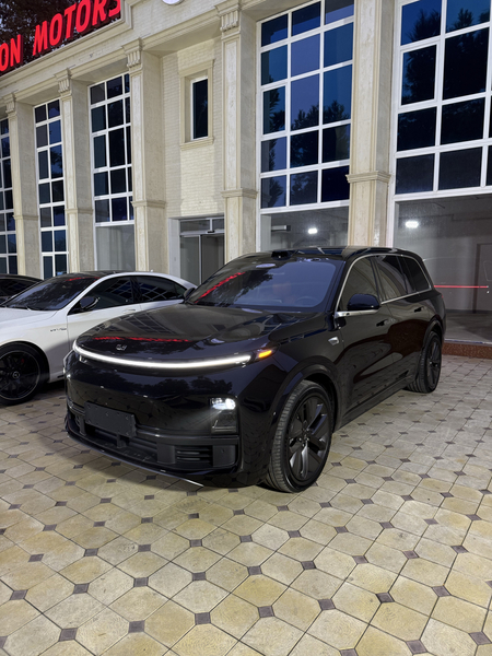 Lisan L9 Max 2024