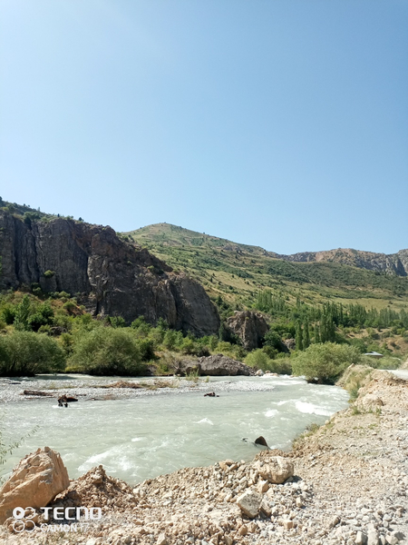 Bukhara Comfort Taxi 24/7 xizmati. Peregon peremichka xizmati mavjud