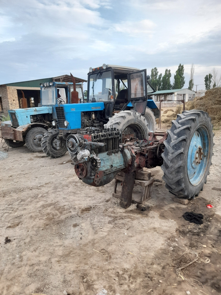 T 40 sòriq traxtir sotladi